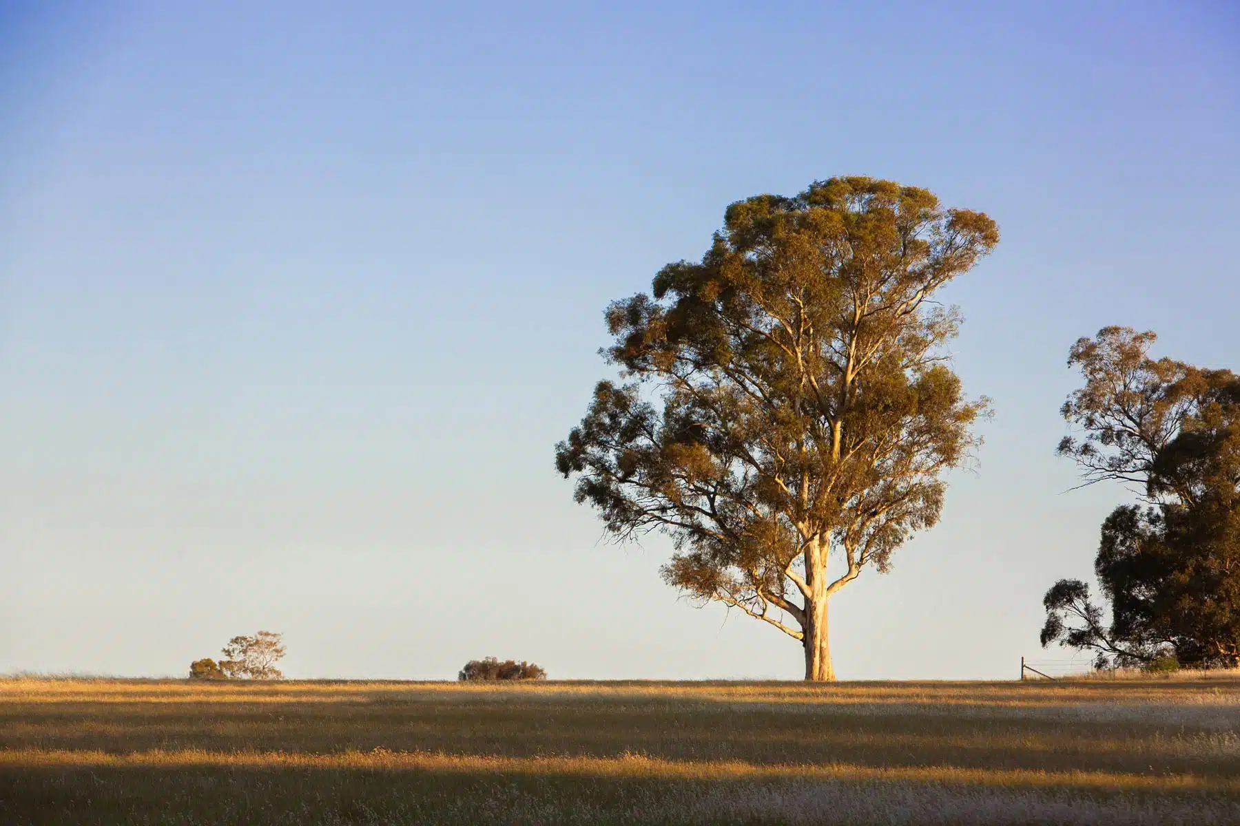 Team - Blackwood Advisory